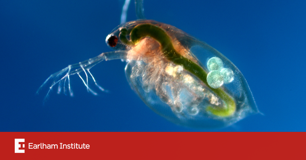 Seminar Adaptive Evolution By Selection On Genome Structural Variation Earlham Institute